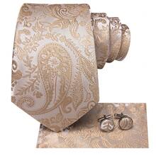 4PCS Men's Paisley Necktie Set With Tie Clip, Official Style Suit Wear ...