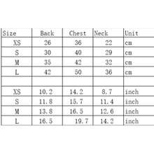 Internet Celebrity Dog Raglan Baseball Shirt, Bichon Teddy Small-Medium ...