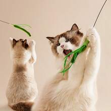 1pc Interactive Cat Teaser Wand Toy Set With Feather Tassels, Indoor ...