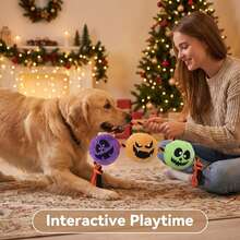 Halloween Themed Dog Tug Toy, Plush Pumpkin & Skull Ball Rope Toy ...