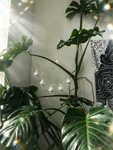 Boho Mirror Disco Ball Plant Chain | Window Hanging Hippie Wall Decor ...