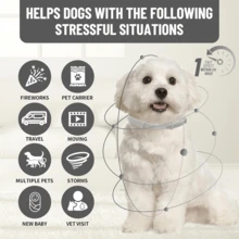 Collar para perro con diseño navideño que brilla en la oscuridad ...