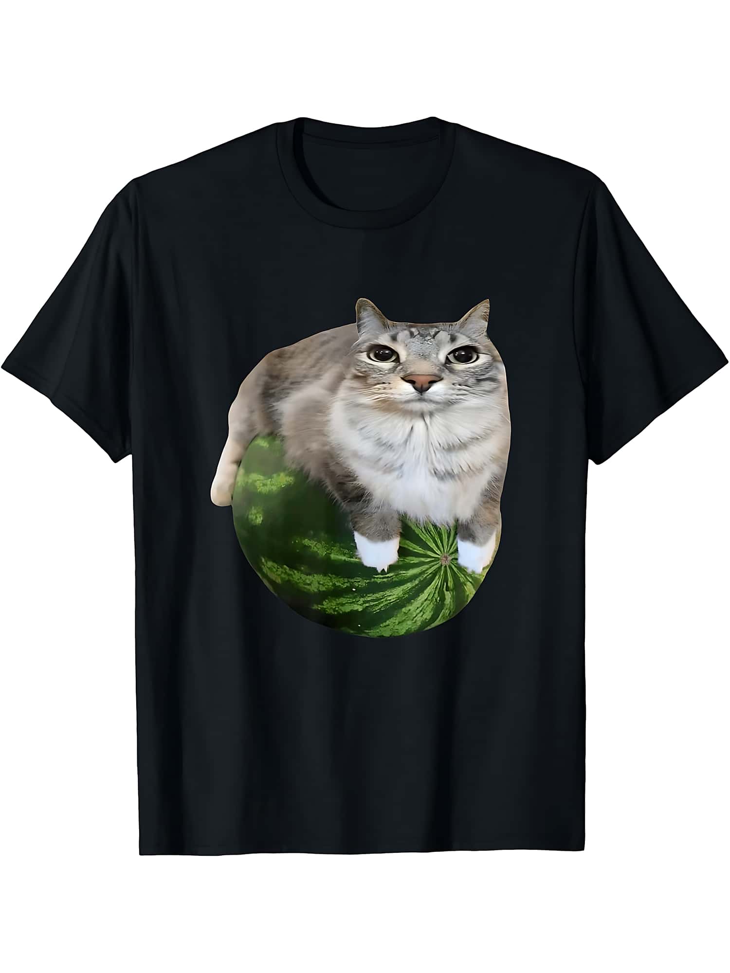 Watermelon Cat Silly Cat Meme T-Shirt | SHEIN USA