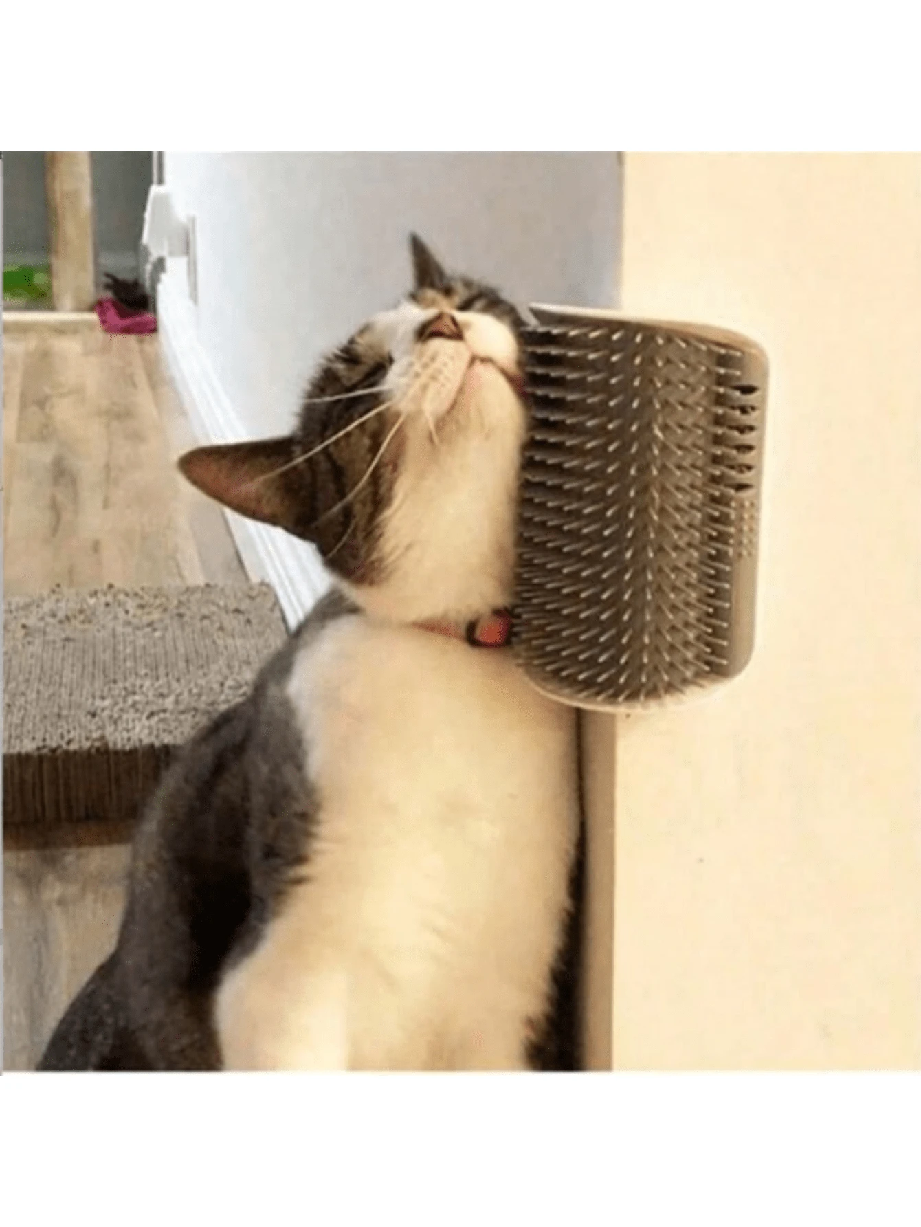 1 Cat Paw Grinding Board, Cat Scratch Column, Silicone, Cat Cage Wall ...