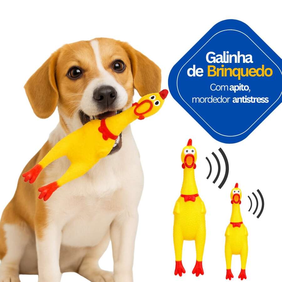 Galinha Brinquedo Frango Mordedor Antistress Cachorro Cães Gato Pet ...