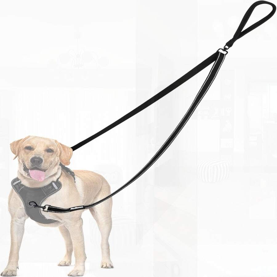 Two Point Control Dog Leash For Medium Large Dogs, Works With No Pull ...