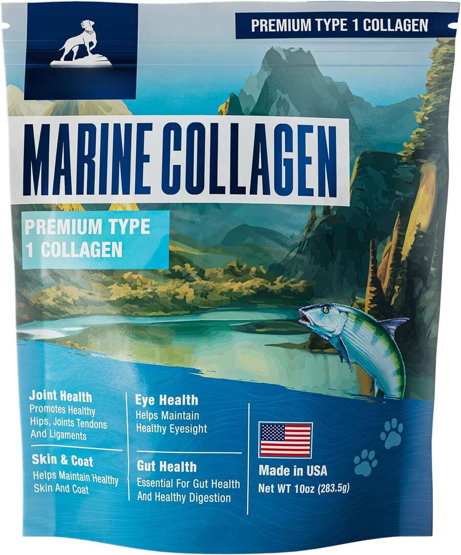 Caught Marine Pet Collagen For Dogs, Peptide For Dogs - Improves Gut ...