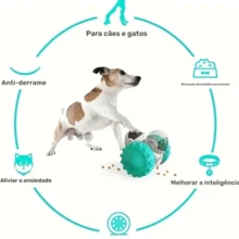 Interactive Cat And Dog Toy Pet Food Feeder | Mode de Mujer | SHEIN España