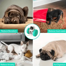 Interactive Cat And Dog Toy Pet Food Feeder | Mode de Mujer | SHEIN España