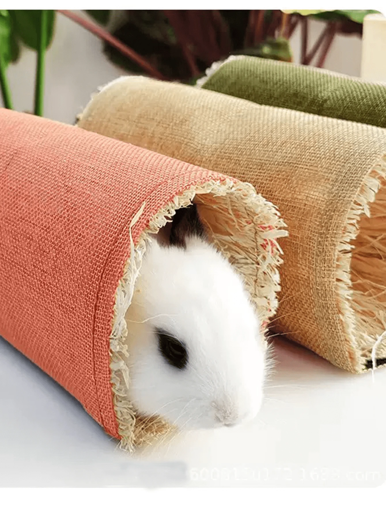 1pc Multifunctional Foldable Small Pet Arch House – Hamster Mat ...
