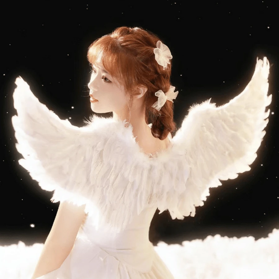 Wings Set, Angel Wings, Stage Performance Props, Costume Dress-Up Props ...