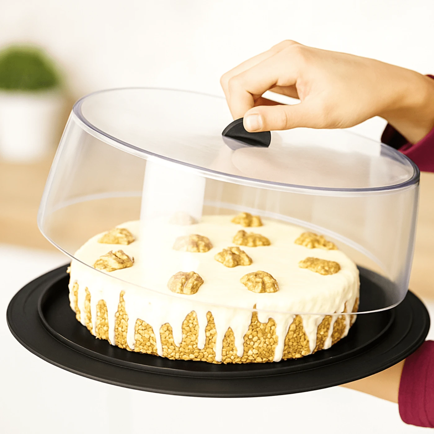 Cake Stand With Round Lid Acrylic Resistant Gourmet Cake Sophisticated ...