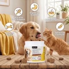 GJYC PET Dog Probiotic Supplement With Digestive Enzymes – Gut Health ...
