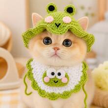 Handmade Crocheted Pet Frog Accessory Set: Cute Lemon Tomato Hat ...