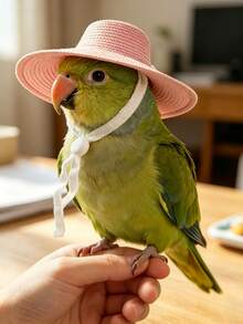 Small Pet Summer Sun Hat For Hamster, Guinea Pig, Parrot, Wide Brim PVC ...